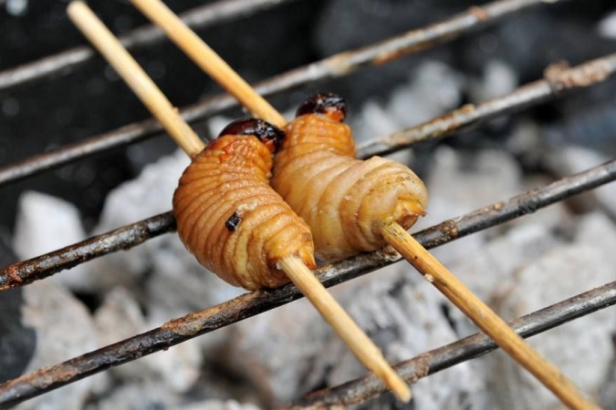 Consumo de insectos en Ecuador - Crick Superfoods